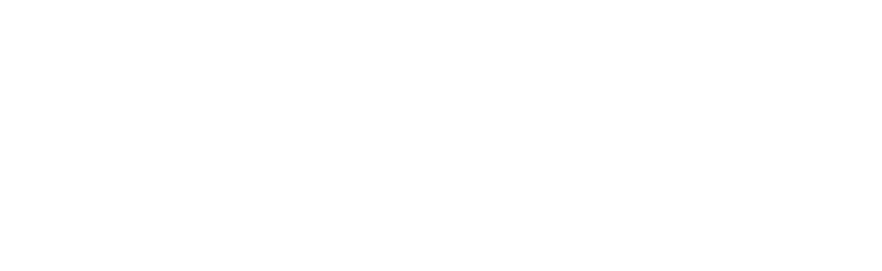 🧭 NC Values life, family, & freedom